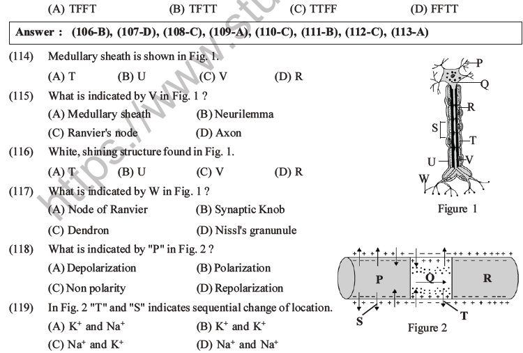 NEET Biology Neural Control and Coordination MCQs Set A with Answers